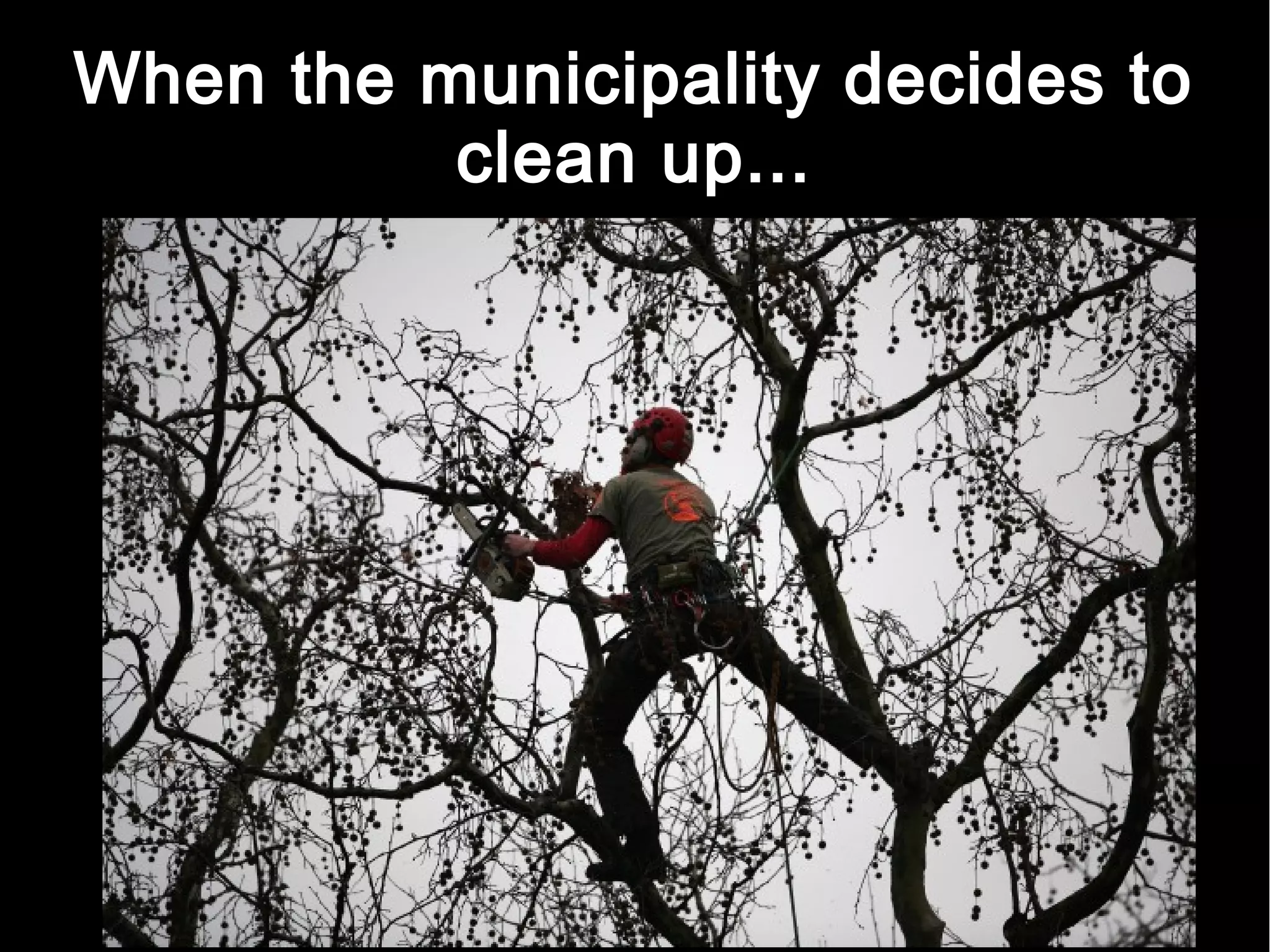 Sysadmin delight | PDF