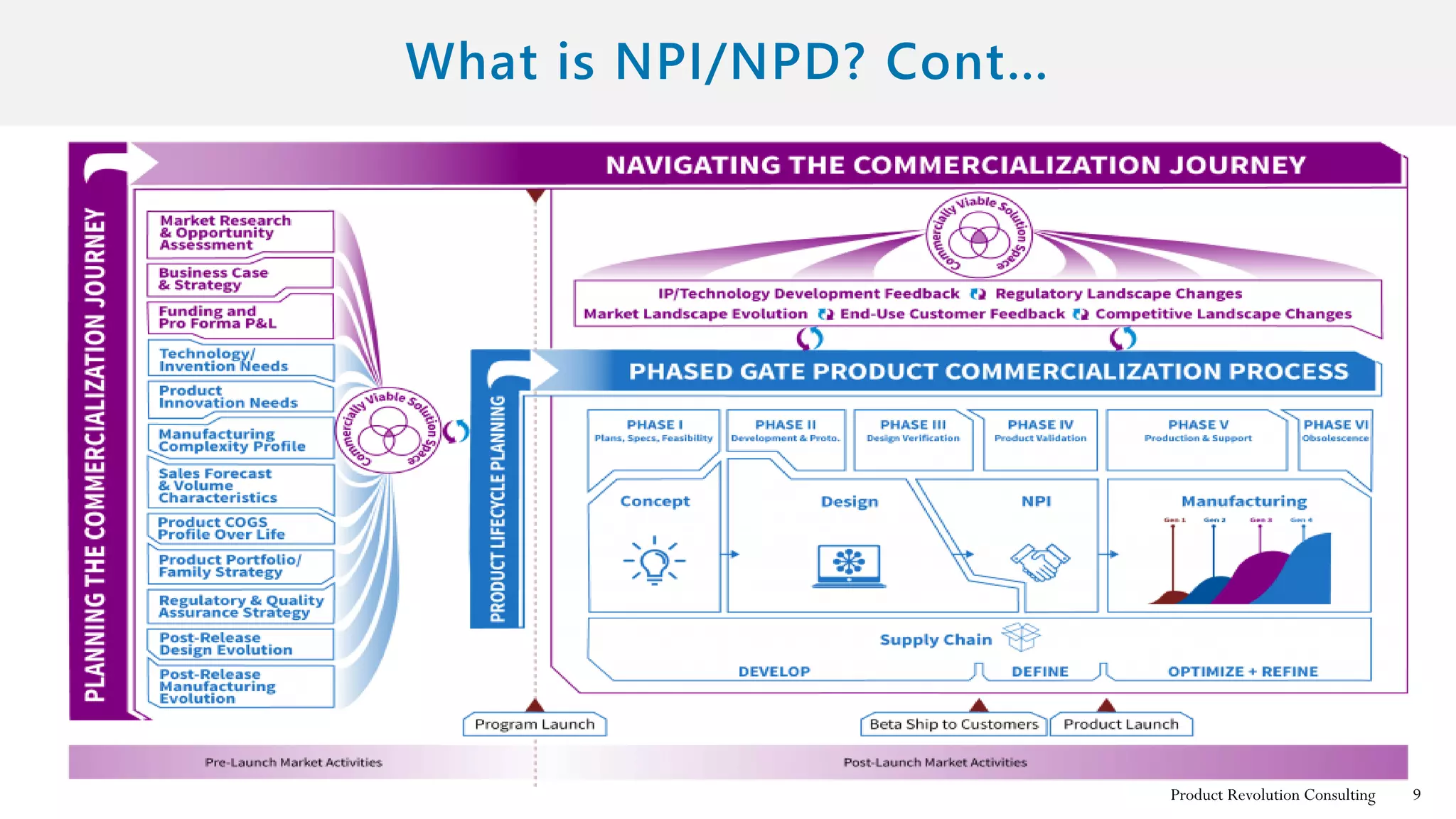 New Product Launch Failure Avoidance | PDF