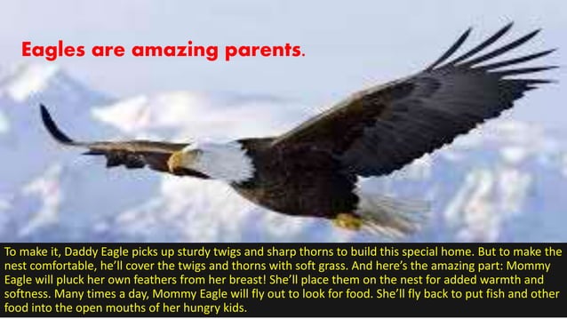 Failure is God's redirection | PPT