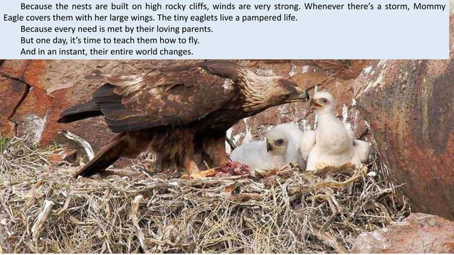 Failure is God's redirection | PPT