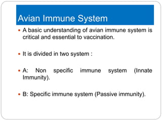 Failure of vaccination in poultry | PPTX