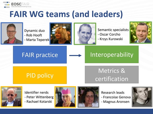 FAIR Working Group | PPT