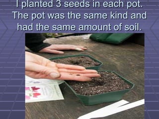 Fair and unfair tests | PPT