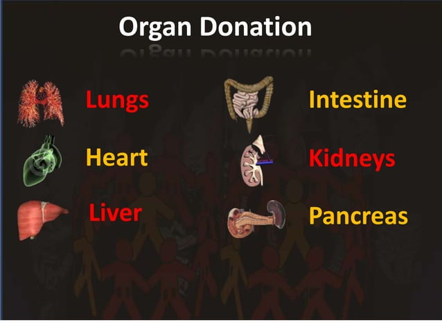 Organ donation | PPTX | Heart and Cardiovascular Diseases | Diseases ...