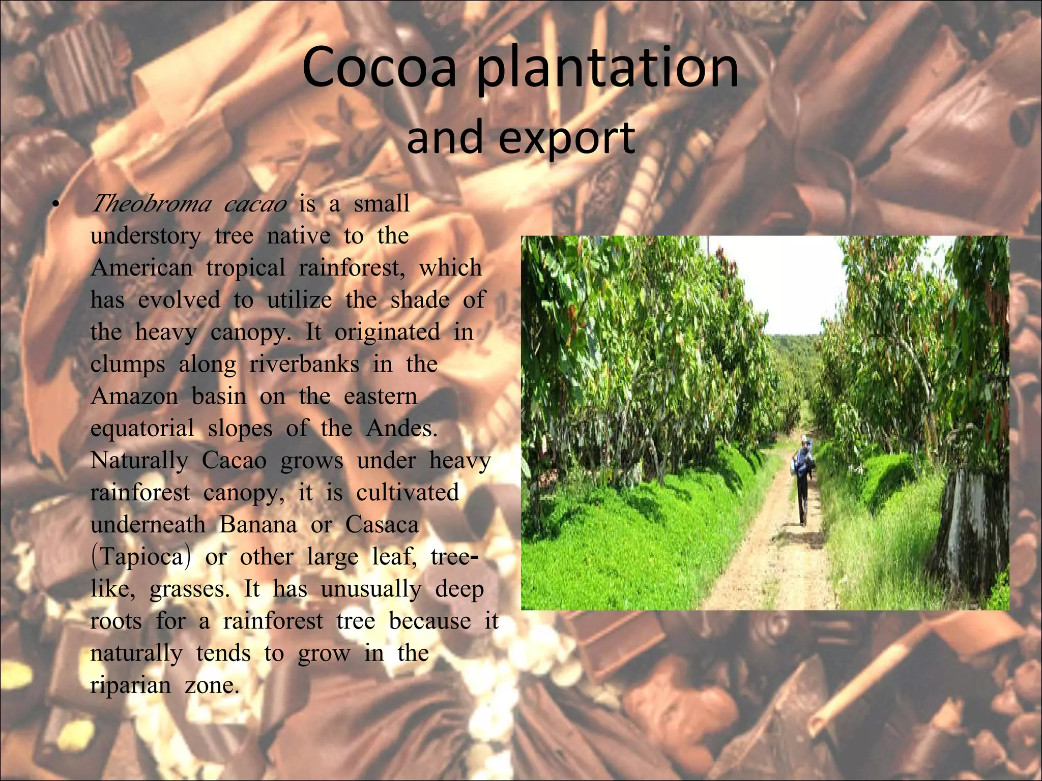 Fair trade, child labour | PPT
