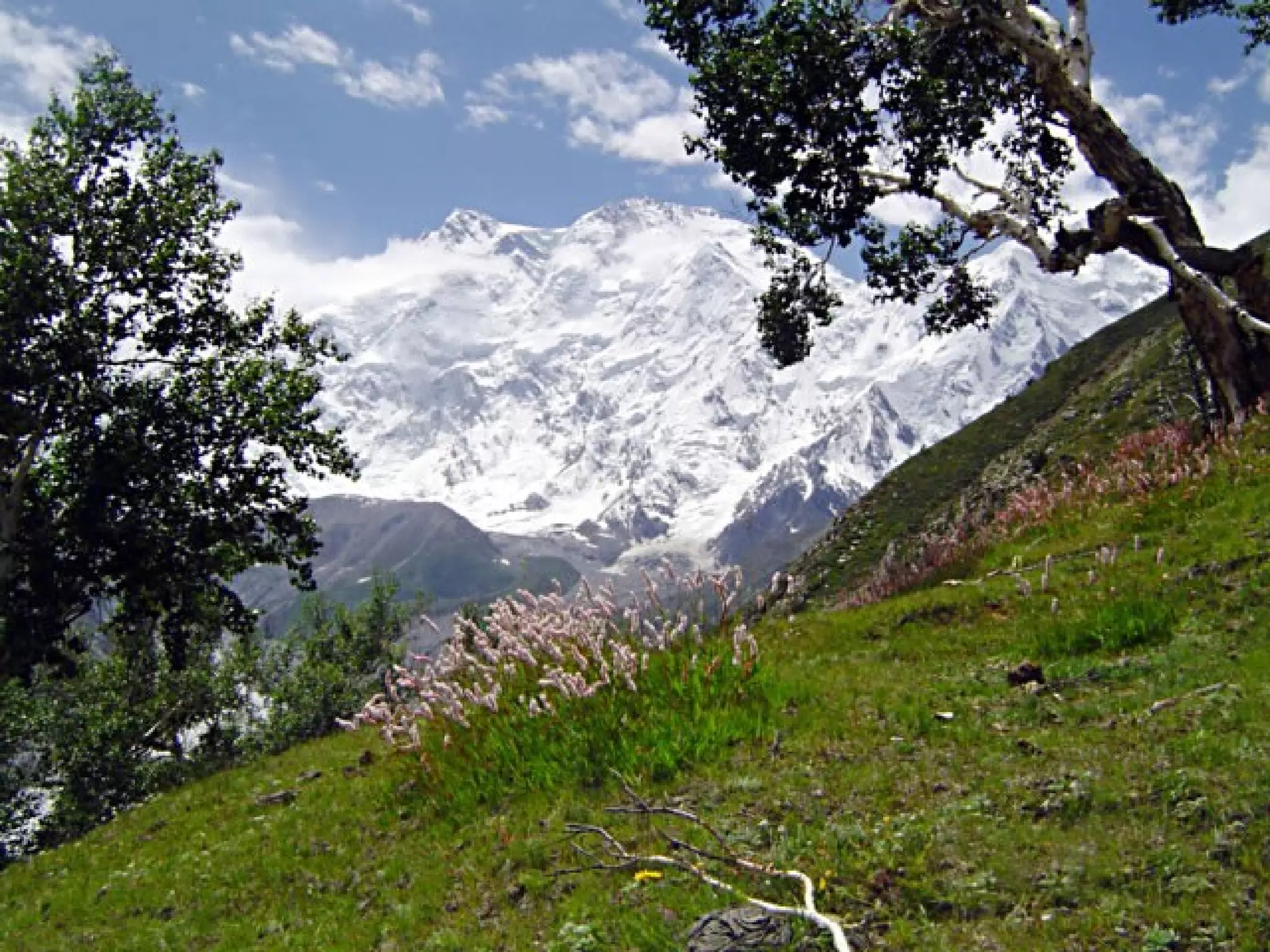 Fairy Meadows Pakistan | PPS