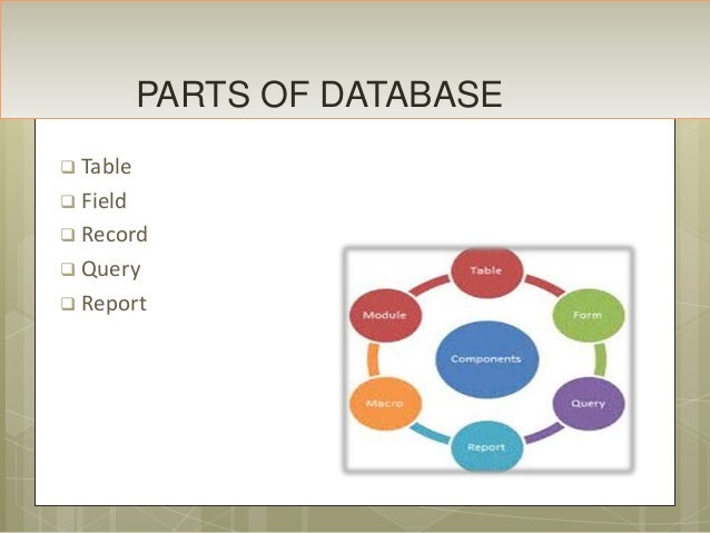 Database Management