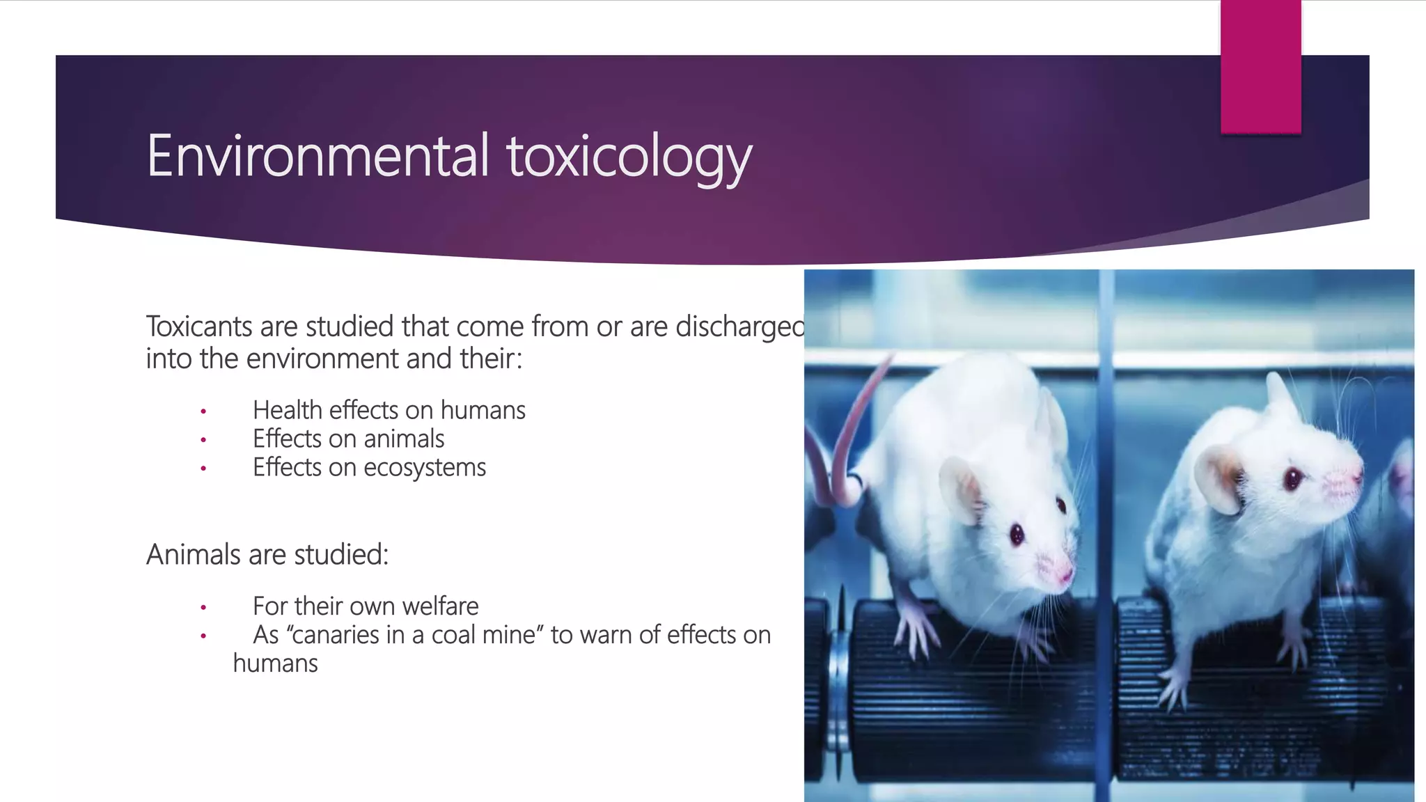 toxicology BY Faisal Rafique | PPT