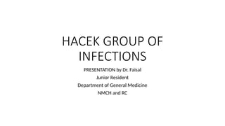 Hacek and group of infection and management | PPTX