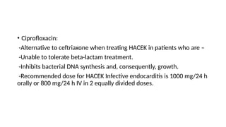 Hacek and group of infection and management | PPTX