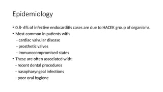 Hacek and group of infection and management | PPTX