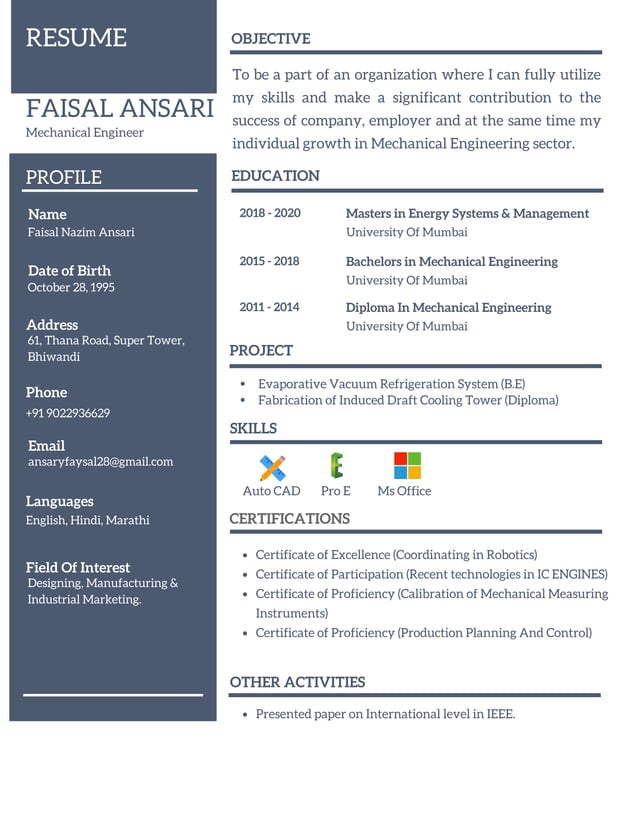 Faisal resume | PDF