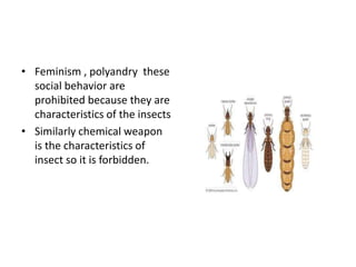 theoretical basis of Islamic sociology and jihad | PPTX