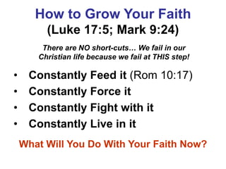 Faith.ppt