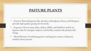 Animal Feeds in livestock nutrition. An introduction | PPTX ...