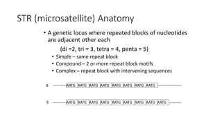 Seth A. Faith - Building a PaaS for Forensic DNA analysis using AWS | PPT