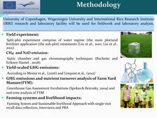 Reduced emissions from intensified rice production systems | PDF