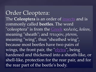 Faizan baloch | PPTX