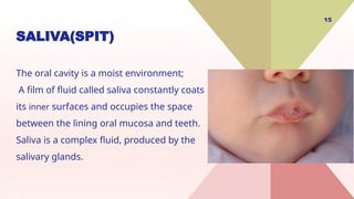 Composition and function of salivary glands | PPTX
