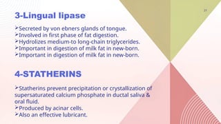 Composition and function of salivary glands | PPTX