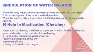 Composition and function of salivary glands | PPTX