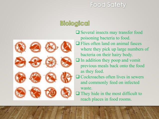 Food Safety Presentation.pptx