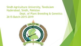 Chromosome and Its Parts by Faiza Rao | PPTX