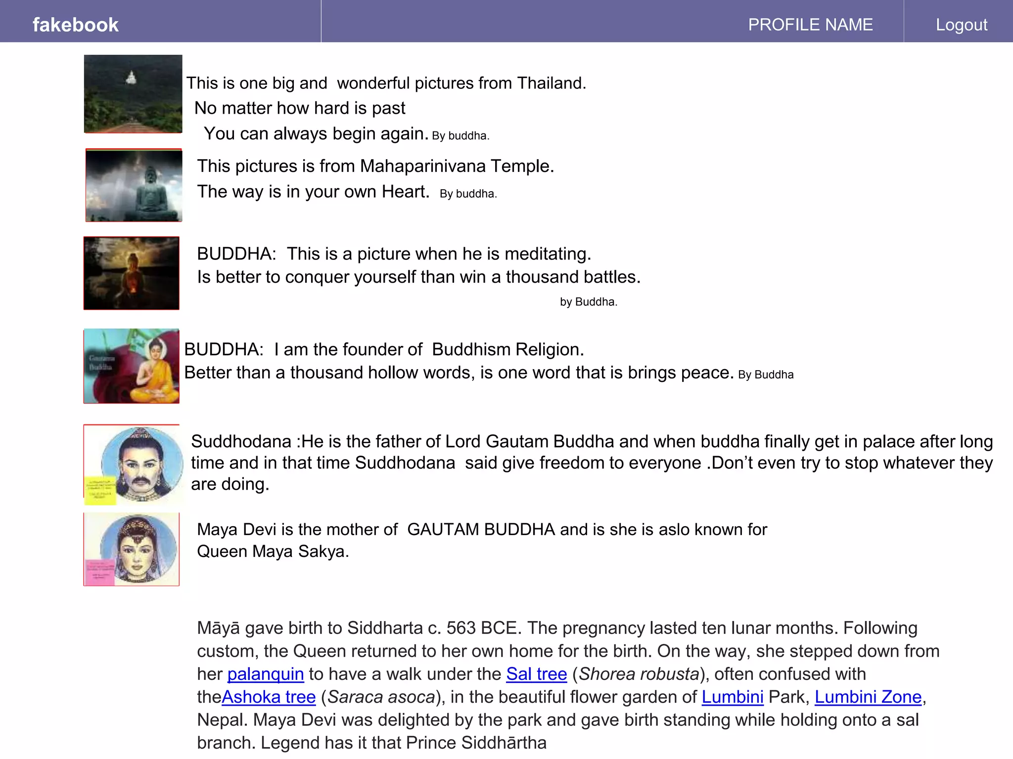 Fake book template facebook | PPTX