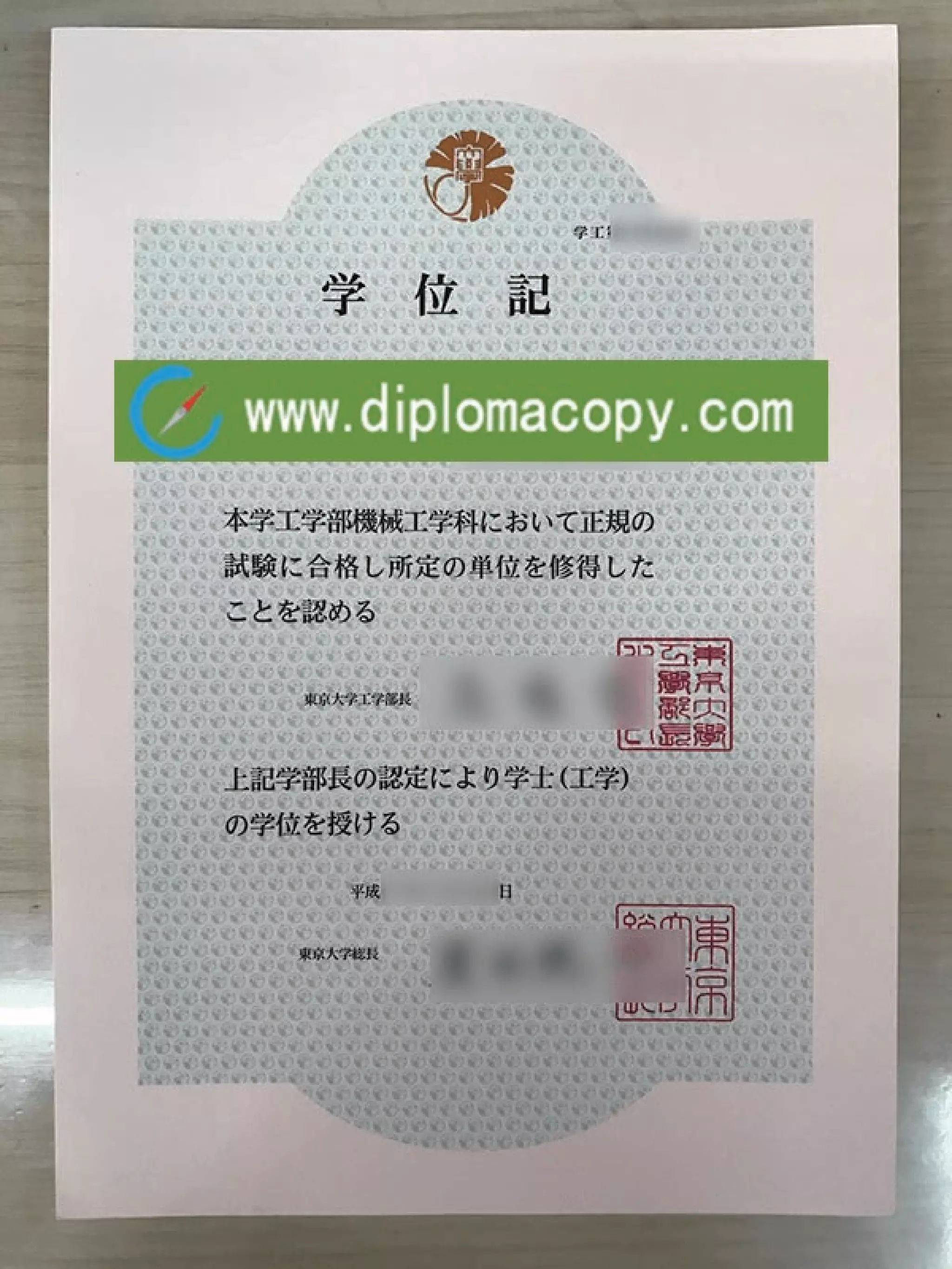 fake Japan diploma | PDF