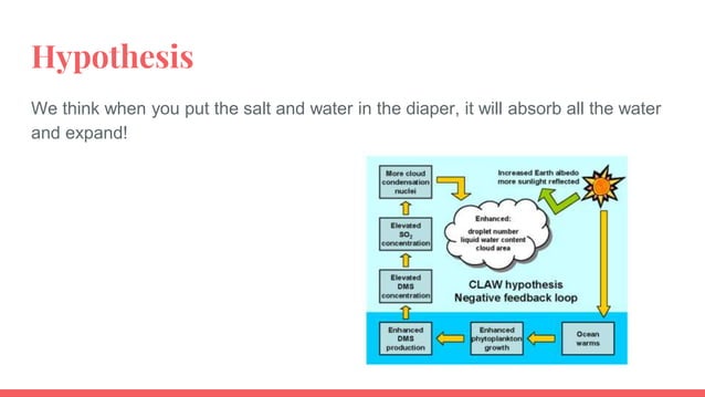 Fake Snow Experiment | PPTX