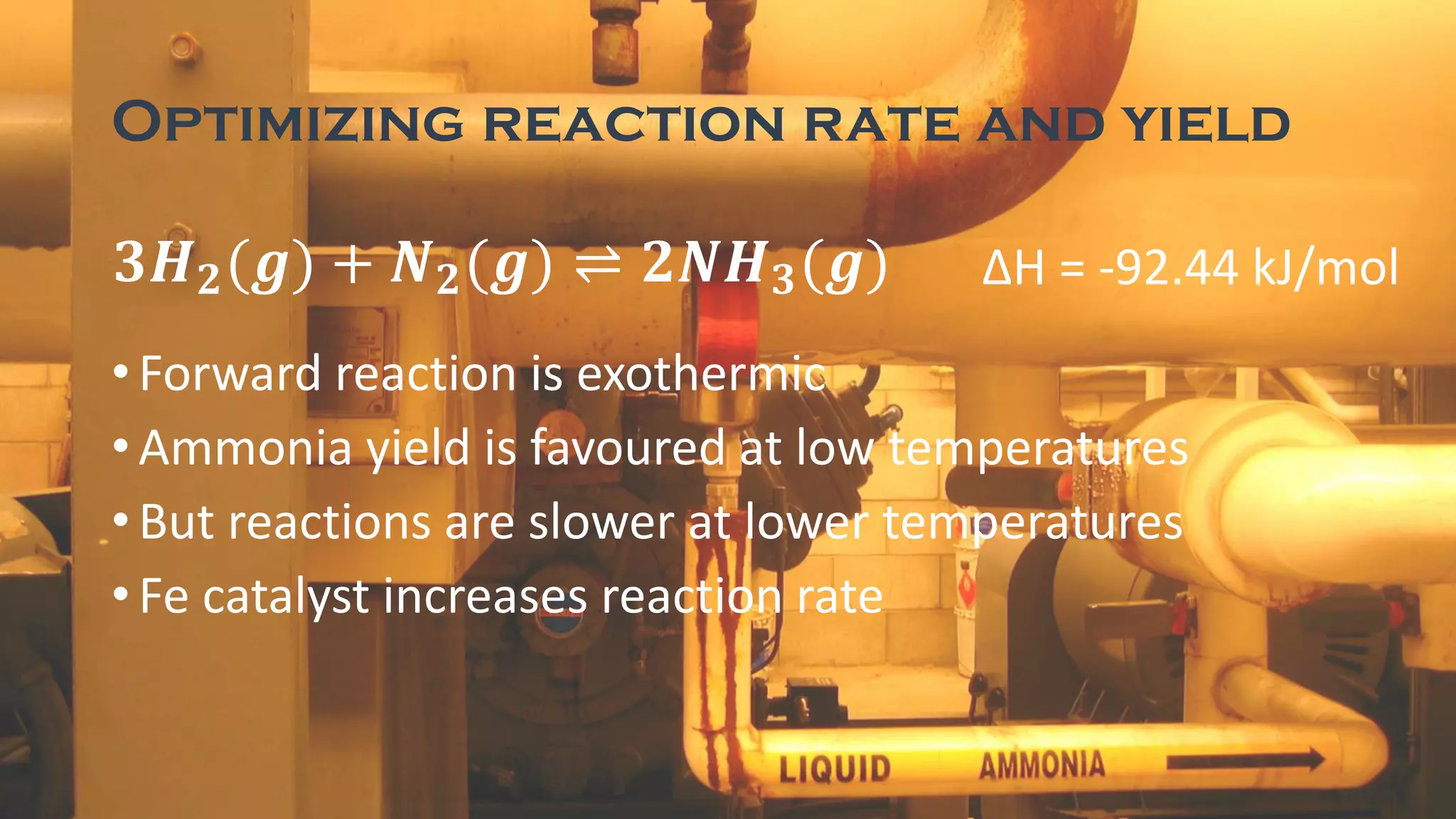 Haber-Bosch Process | PDF