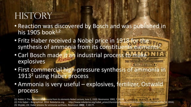 Haber-Bosch Process | PDF | Chemistry | Science