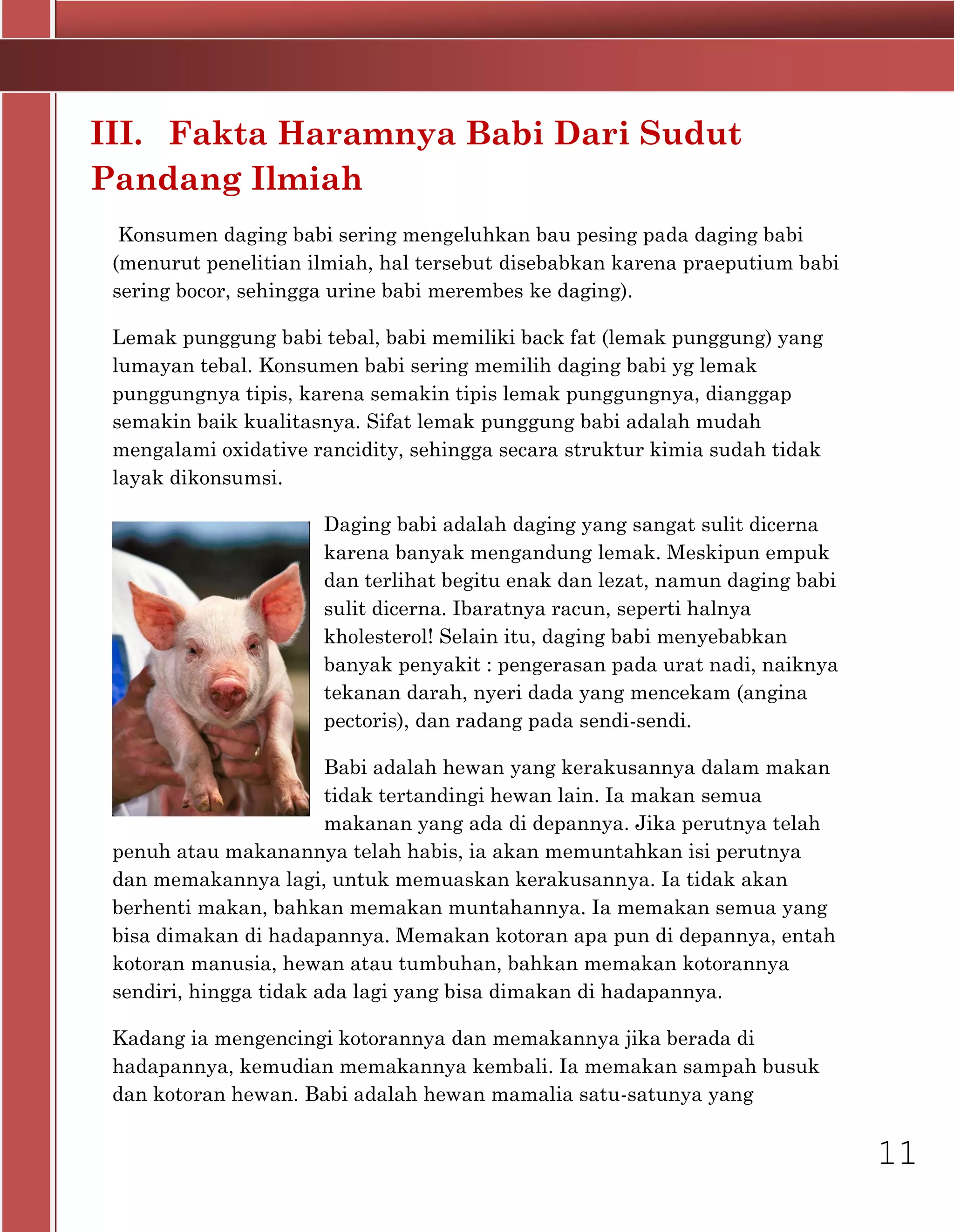 Fakta Ilmiah Tentang Keharaman Babi | PDF