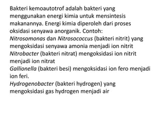 Faktor faktor-yang-mempengaruhi-pertumbuhan-bakteri | PPTX