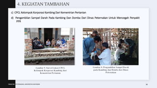 Faktor-Faktor yang Mempengaruhi Keberhasilan Inseminasi Buatan (IB) pada Induk Sapi Bali di UPT ...