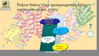 Faktor faktor yang mempengaruhi kerja enzim-egi praginanta | PPTX