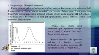 Faktor faktor yang mempengaruhi kerja enzim-egi praginanta | PPTX