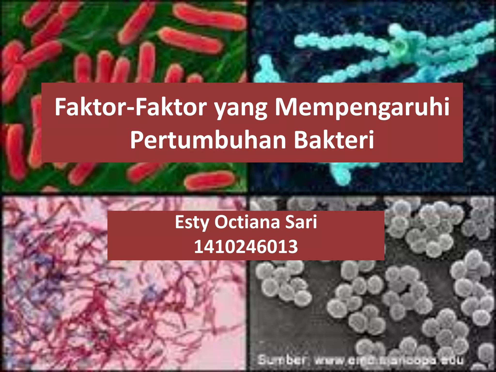 Faktor faktor yang mempengaruhi pertumbuhan bakteri | PPTX