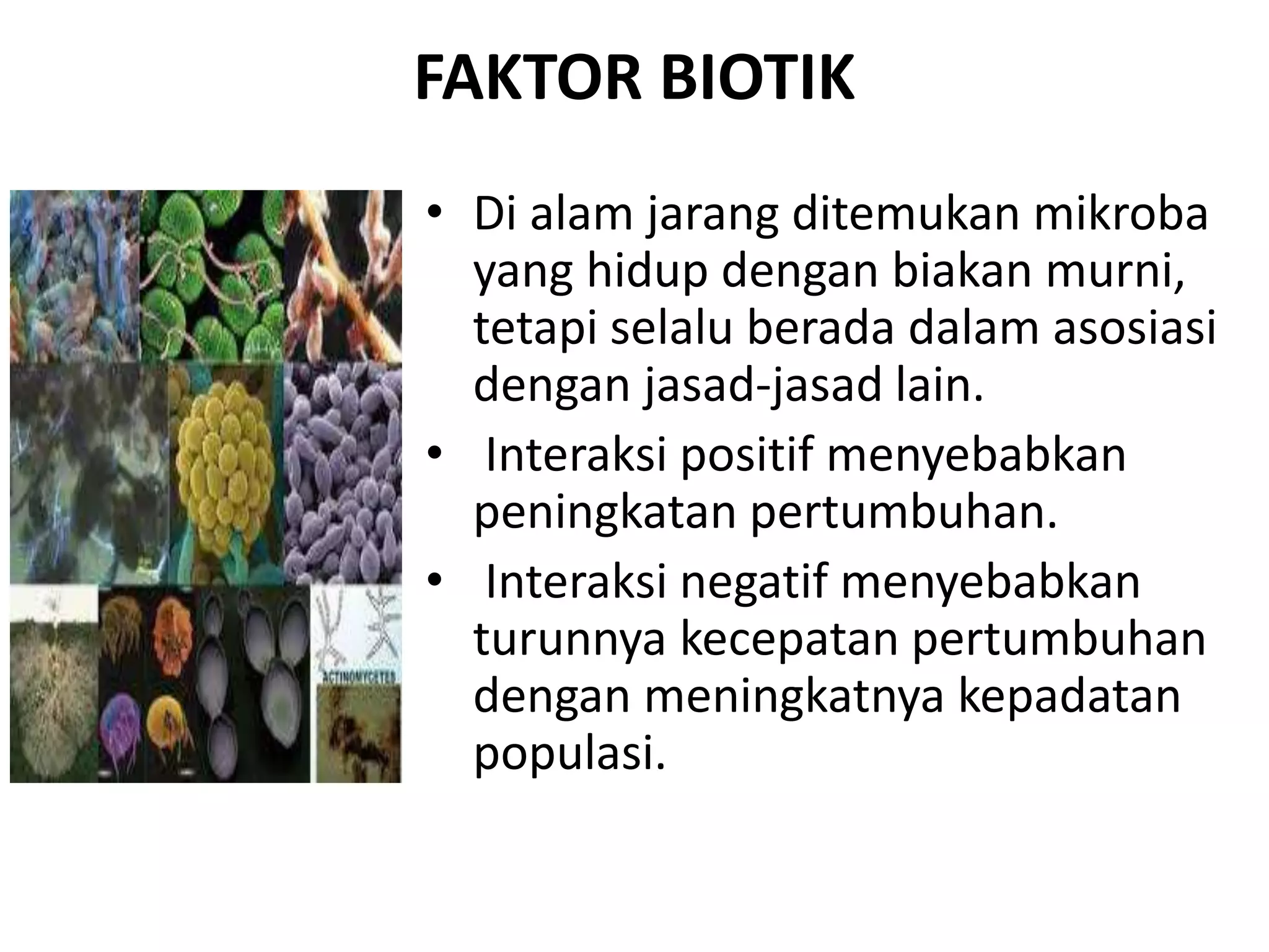 Faktor faktor yang mempengaruhi pertumbuhan bakteri | PPTX