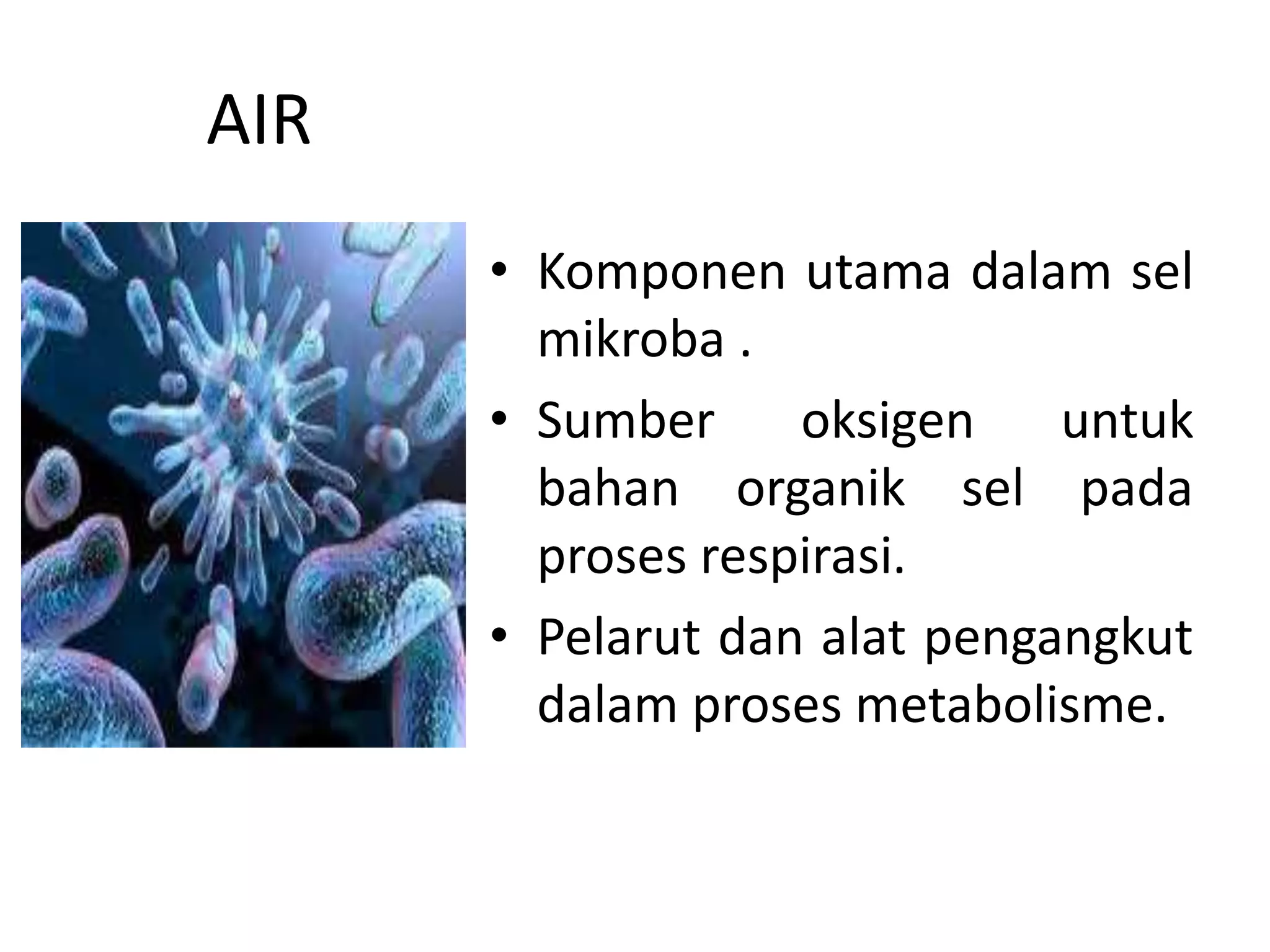 Faktor faktor yang mempengaruhi pertumbuhan bakteri | PPTX
