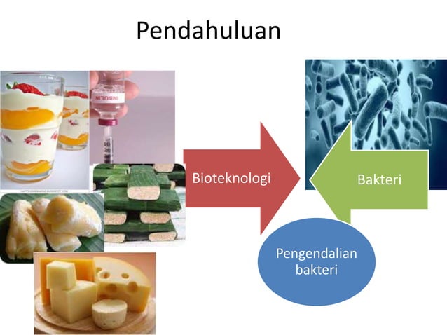 Faktor faktor yang mempengaruhi pertumbuhan bakteri | PPTX