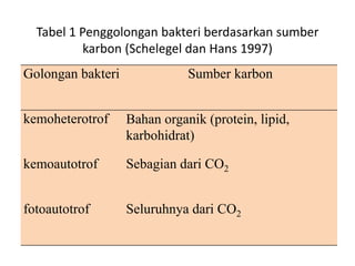 Faktor faktor yang mempengaruhi pertumbuhan bakteri | PPTX