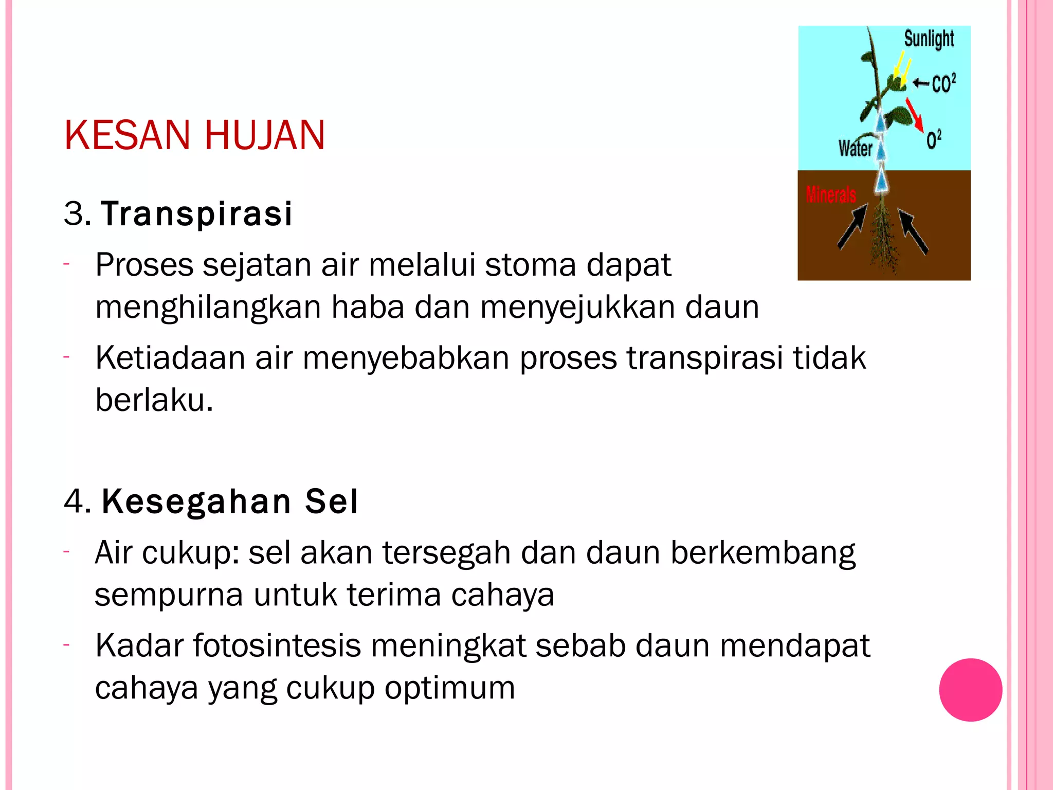Faktor Yang Mempengaruhi Tanaman dan Hasil Tanaman | PPT