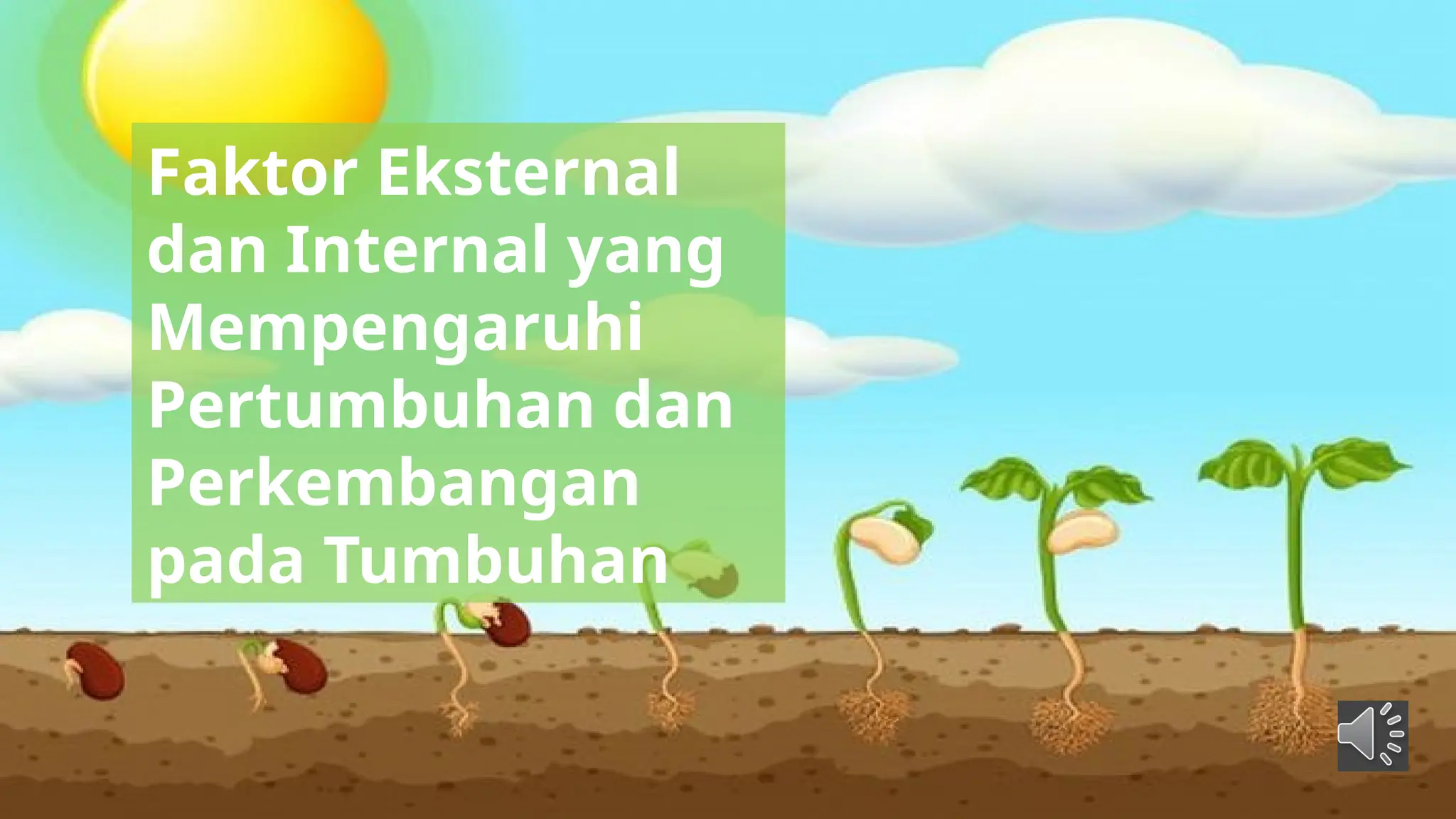 Faktor Eksternal dan Internal yang Mempengaruhi Pertumbuhan Tanaman.pptx