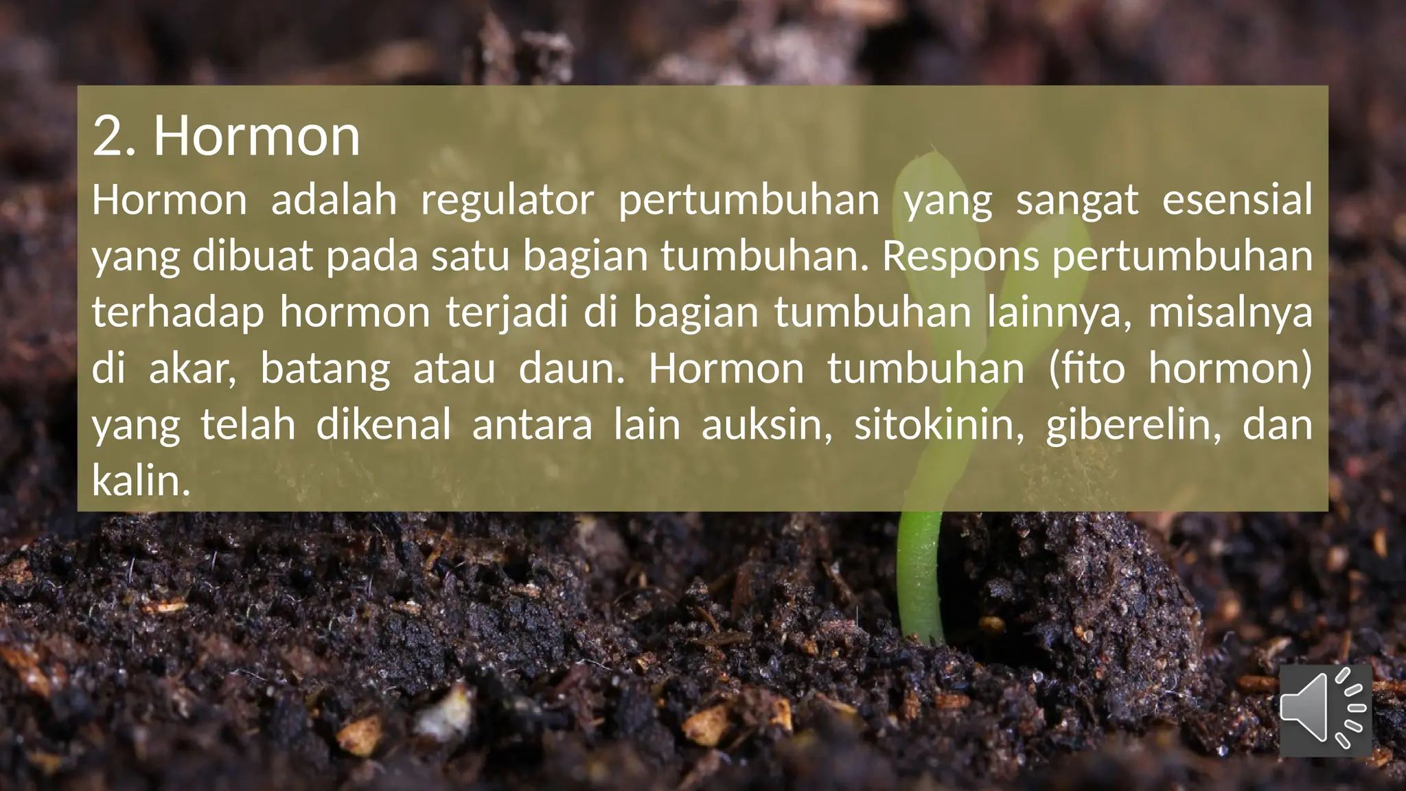 Faktor Eksternal dan Internal yang Mempengaruhi Pertumbuhan Tanaman.pptx