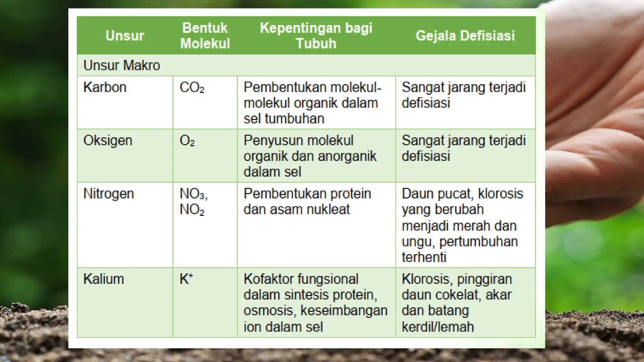Faktor Eksternal dan Internal yang Mempengaruhi Pertumbuhan Tanaman.pptx