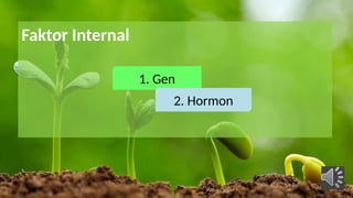 Faktor Eksternal dan Internal yang Mempengaruhi Pertumbuhan Tanaman.pptx