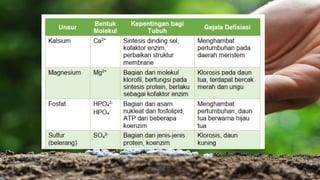 Faktor Eksternal dan Internal yang Mempengaruhi Pertumbuhan Tanaman.pptx