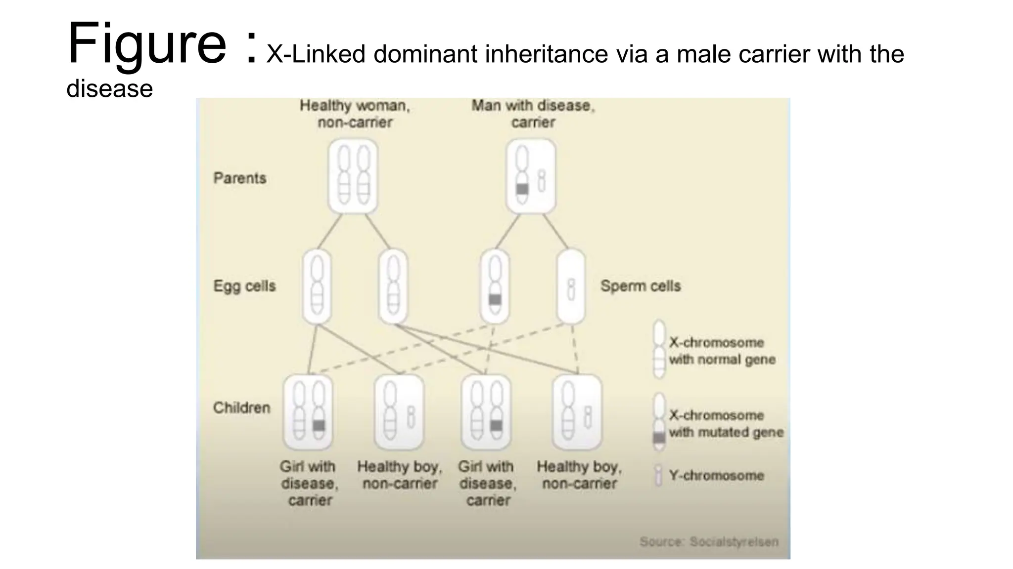 Faktor Genetik pada preeklampsia berat ppt | PPTX
