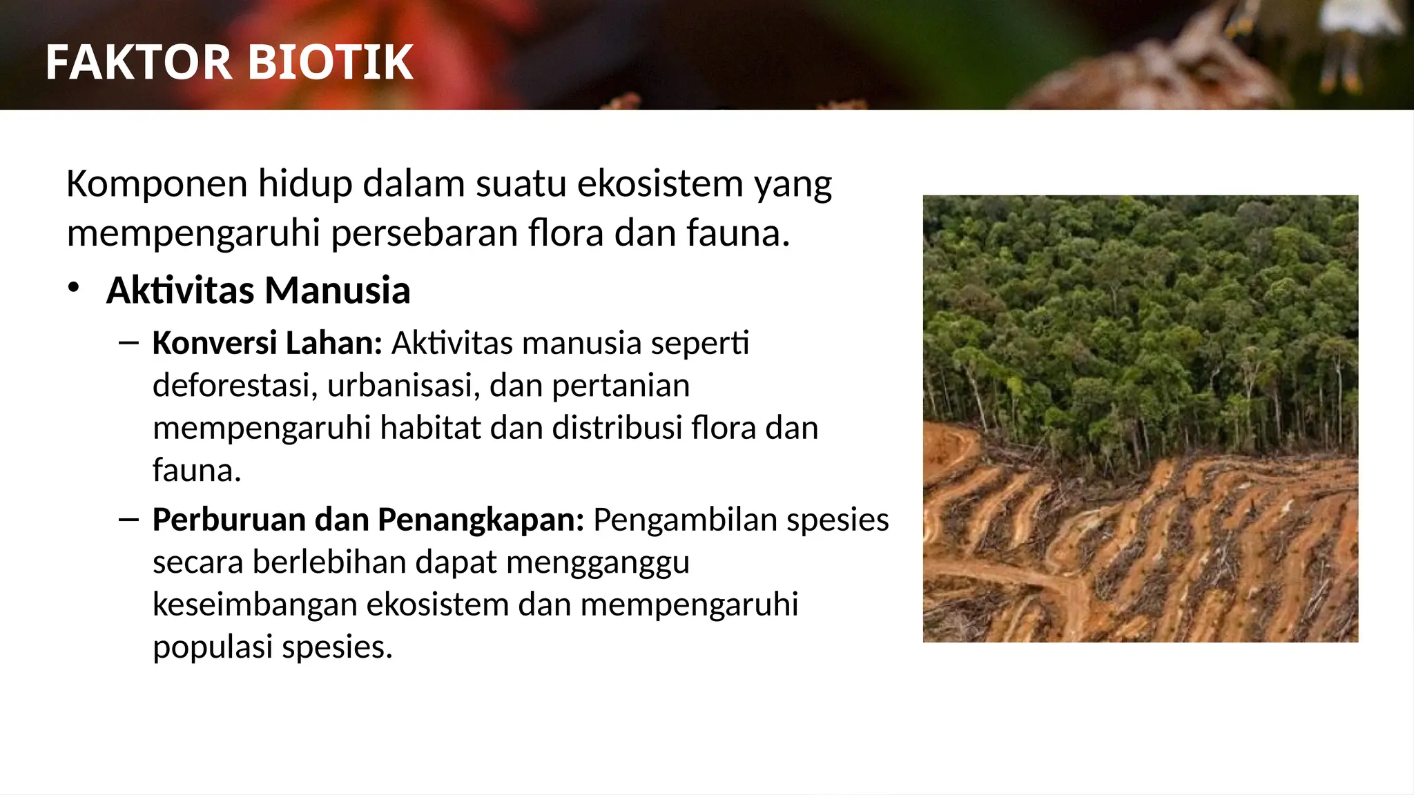 3 Faktor_Persebaran_Flora_dan_Fauna.pptx